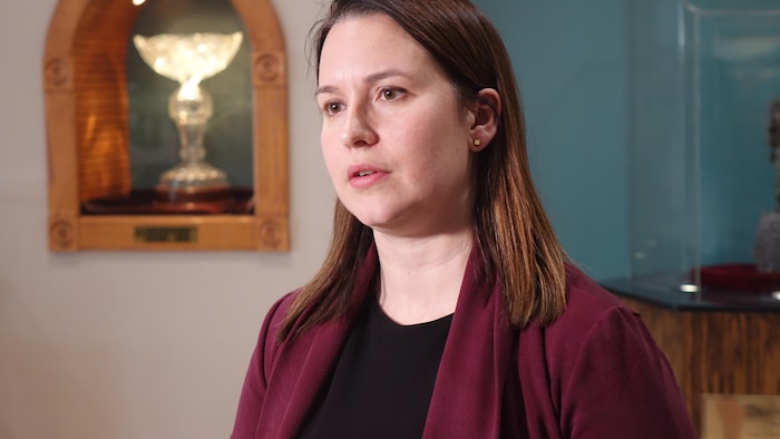 Bientôt une version numérique des cartes d’identité à Terre-Neuve-et ...