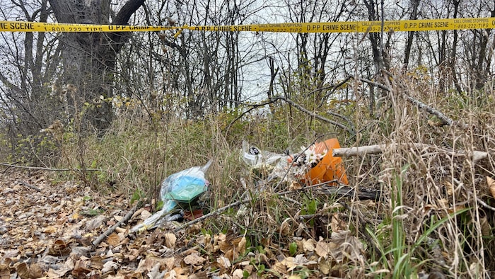 Une adolescente plaide coupable du meurtre d’un jeune de 15 ans à Perth ...