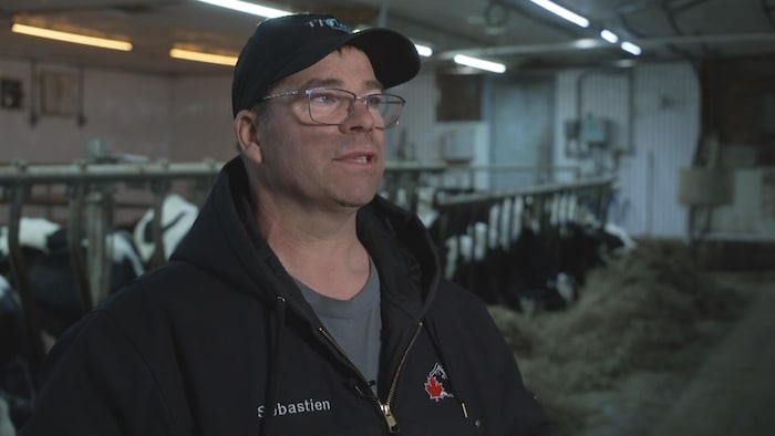 Les producteurs de porcs veulent vendre à meilleur prix aux ...