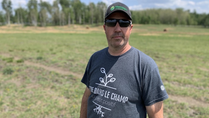 Sécheresse dans les champs : « On s’en va vers une crise de foin ...