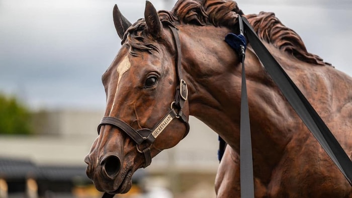 Un monument pour immortaliser le cheval Secretariat au Kentucky | Radio ...