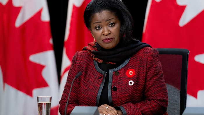 Sénat : les règles des voyages linguistiques resserrées | Radio-Canada