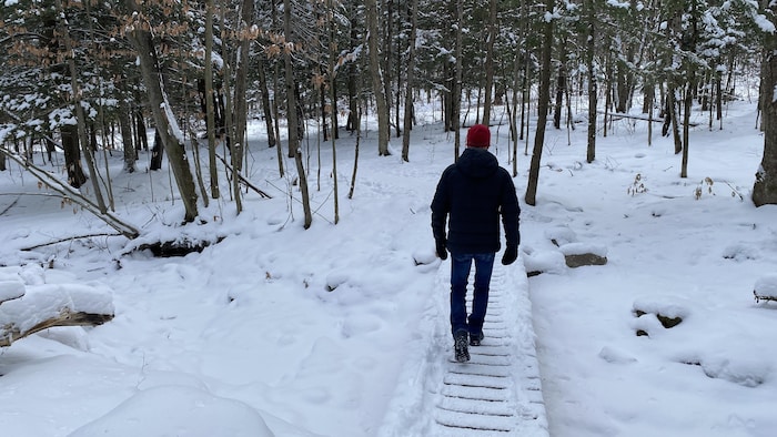 5 km de sentiers supplémentaires au Bois-Beckett inaugurés | Radio-Canada