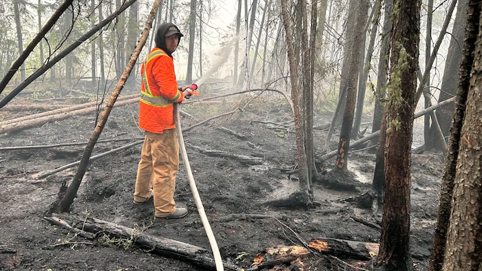 Feux de forêt : des risques élevés à prévoir cet été au Manitoba ...