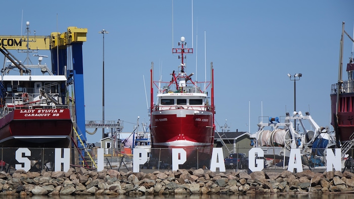 Shippagan, la plus jolie ville côtière du N.-B., selon un magazine web ...