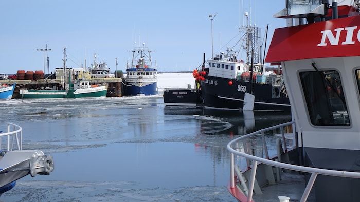 Shippagan, la plus jolie ville côtière du N.-B., selon un magazine web ...