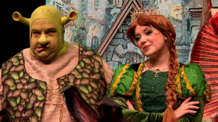 Un Shrek « un peu revendicateur » monte sur les planches du Théâtre ...