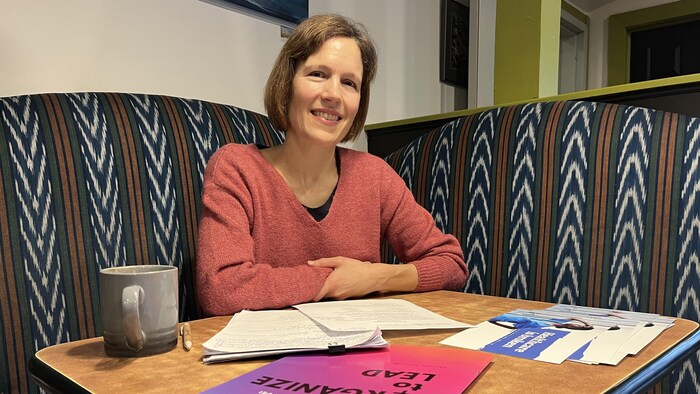 Nombre record de candidates aux élections provinciales de l’Île-du ...