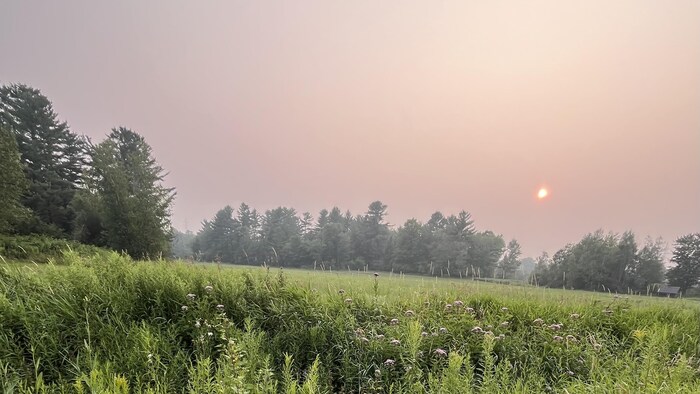Mauvaise qualité de l’air et visibilité réduite en Estrie | Radio-Canada
