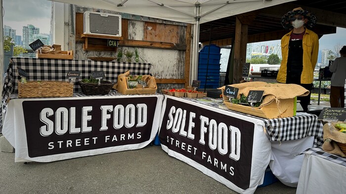 À Sole Food Street Farms, on cultive des légumes et de l’espoir | Radio ...