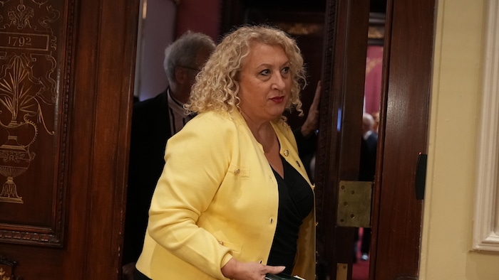 Campagne de Pablo Rodriguez : la députée Sona Lakhoyan Olivier blâmée ...