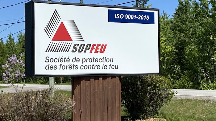 Importants risques d’incendie en forêt dans la région | Radio-Canada