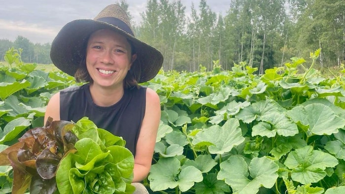 Une nouvelle ferme maraîchère à Val-d’Or | Radio-Canada