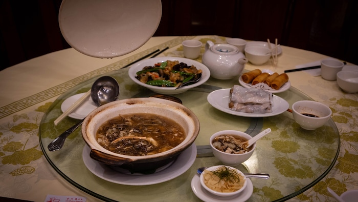 Perd-on l’appétit pour la soupe de serpent? | Radio-Canada