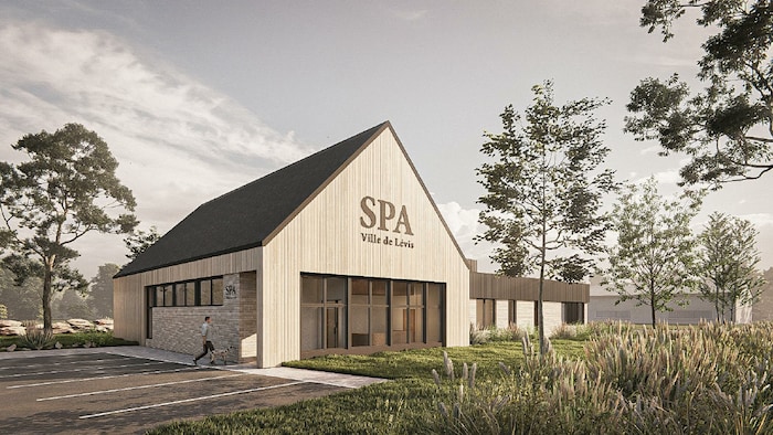 La SPA Lévis aura un bâtiment tout neuf | Radio-Canada