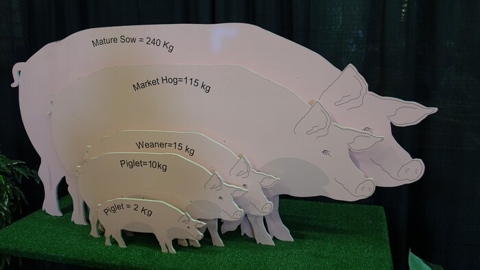 L’exposition agricole du Stampede, un endroit pour s’informer | Radio ...