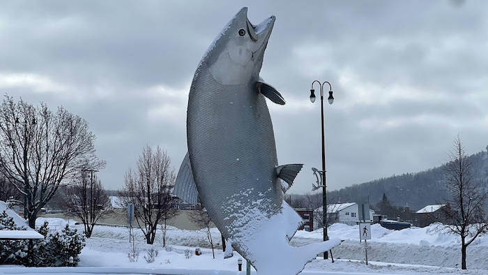 Le Festival du saumon de Campbellton 2026 aura-t-il lieu? | Radio-Canada