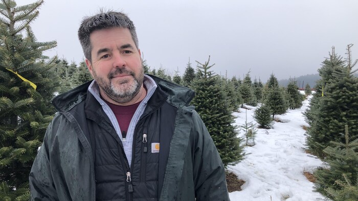 Le prix des arbres de Noël monte, mais les Estriens demeurent au rendez ...