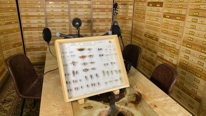 La pandémie ouvre des portes à la Bibitte Mobile | Radio-Canada