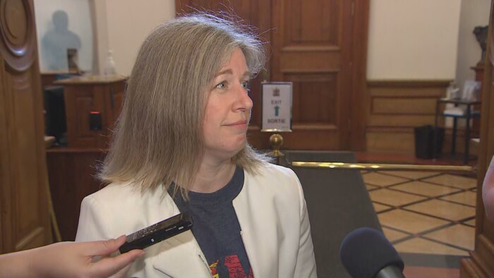 À quoi s’attendre du discours de Blaine Higgs sur l’état du Nouveau ...