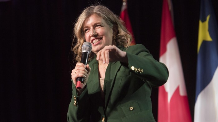 Susan Holt va-t-elle vraiment « créer » 30 cliniques communautaires ...