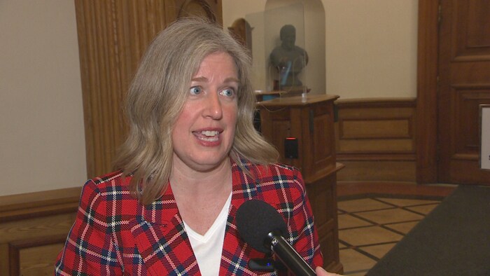 Éducation sexuelle : Blaine Higgs s’inquiète qu’on cache des ...