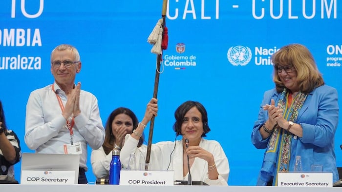 Les peuples autochtones et afro-descendants crient victoire à la COP16 ...