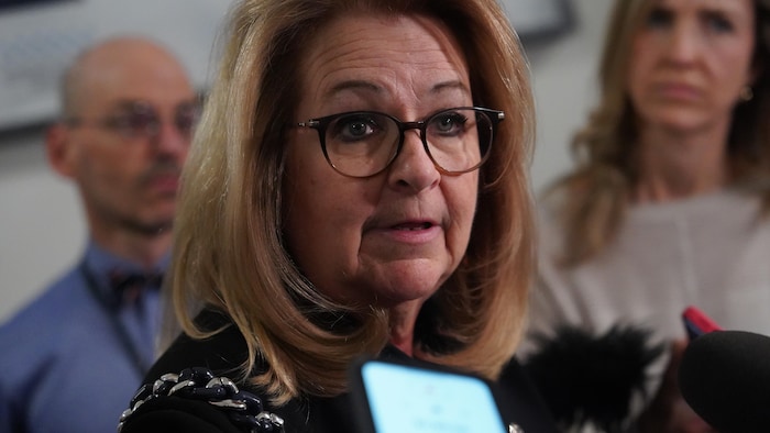 Garderies : la ministre Roy a bon espoir de créer 12 000 places ...