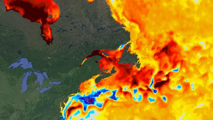 Une importante vague de chaleur marine a frappé la côte est du Canada ...