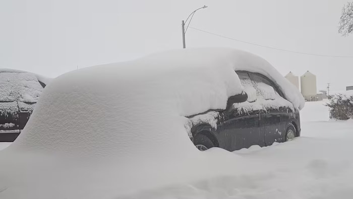 Près de 50 cm de neige dans certains secteurs de la Saskatchewan ...