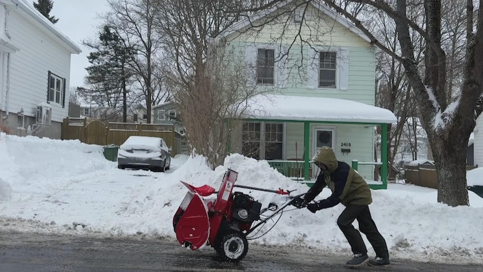 Le jour de la marmotte annulé en Nouvelle-Écosse à cause... de la météo ...