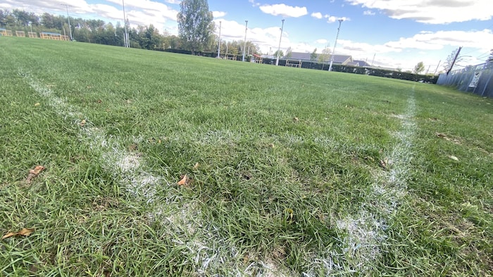 « Un climat grandissant d’intolérance » dénoncé par un club de soccer ...