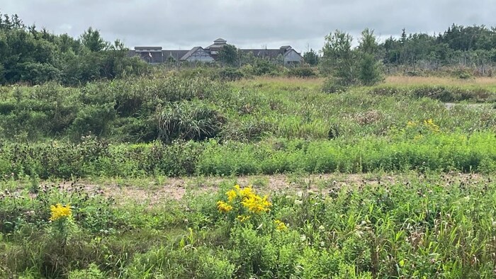 Un promoteur immobilier se bat pour construire près des dunes de ...