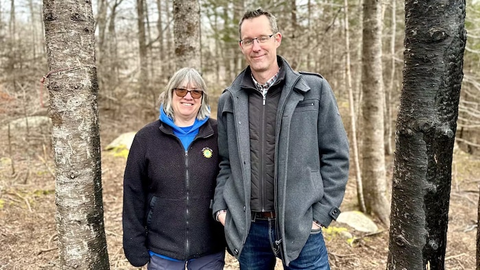 Les arbres brûlés par le feu de forêt d’Halifax ont droit à une ...