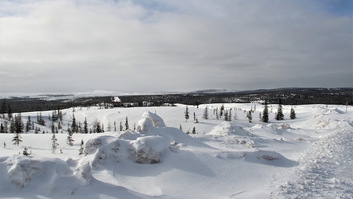 Jusqu’à 15 cm de neige attendus à Schefferville | Radio-Canada