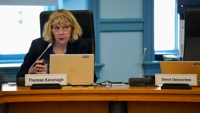 Un gymnase ou un centre communautaire pourrait remplacer le dôme ...