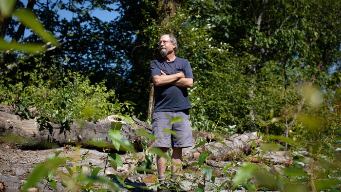 Depuis un an, ils sont perchés dans des arbres pour freiner Trans ...