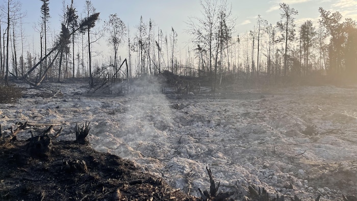 8 choses à comprendre sur les feux de forêt | Radio-Canada