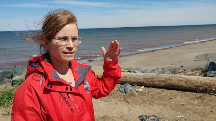 Wolverine est arrivée à Miscou, au Nouveau-Brunswick | Radio-Canada