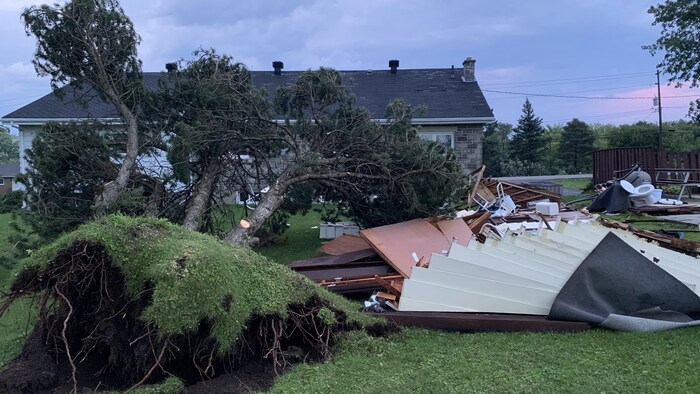 Une tornade a touché terre dans le sud-ouest d’Ottawa | Couverture en direct | Radio-Canada Info