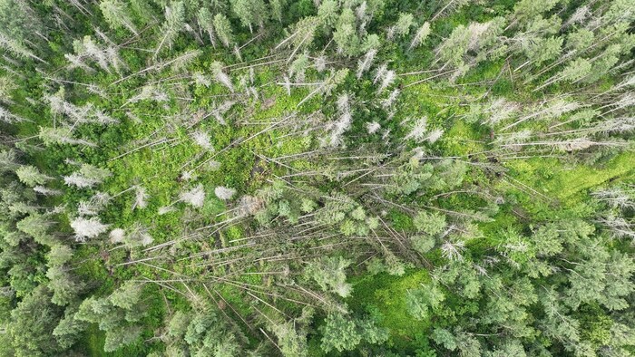 L’est ontarien aurait aussi été secoué par deux tornades le 13 juillet dernier | Radio-Canada