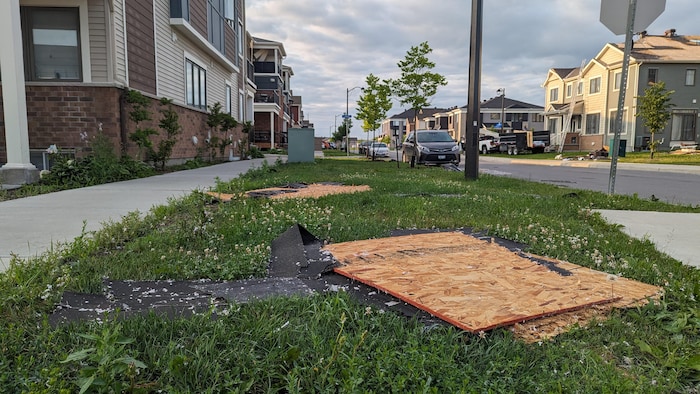 Lendemain de tornade : l’heure est au nettoyage dans le quartier de Barrhaven, à Ottawa | Radio ...