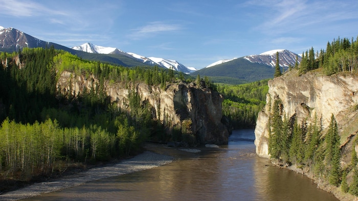 Des Albertains dénoncent l’exploitation de la mine de charbon 14 ...