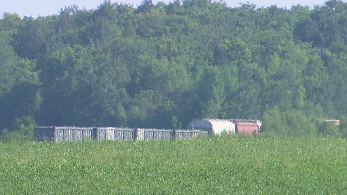 Un train de marchandises déraille à Saint-Boniface | Radio-Canada