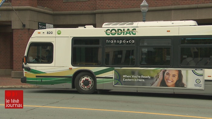 L’utilisation du transport en commun monte en flèche à Moncton | Radio ...