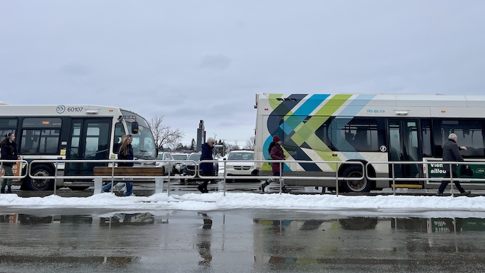 Le programme « solidarité transport » est maintenu à la STS | Radio-Canada