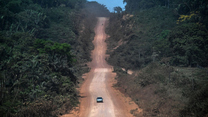 Sur la route à travers l'Amazonie, l'asphalte mange la forêt | Radio-Canada