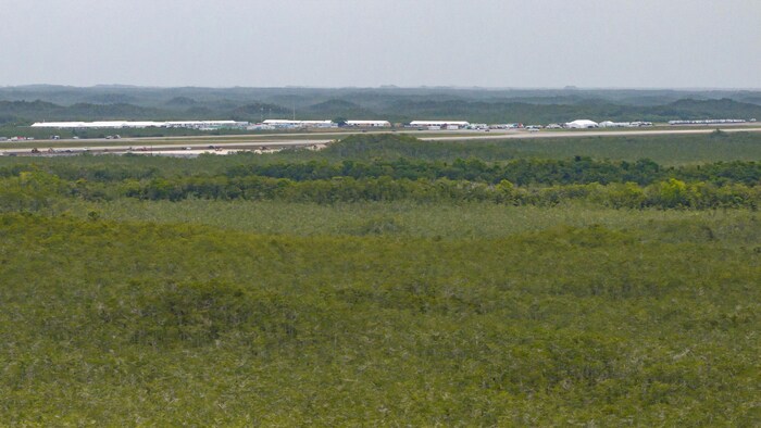 L’« Alcatraz des alligators », la prison pour sans-papiers au cœur des ...
