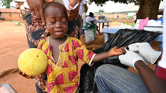 Le coït des mouches tsé-tsé mieux compris, possible clé pour les combattre | Radio-Canada