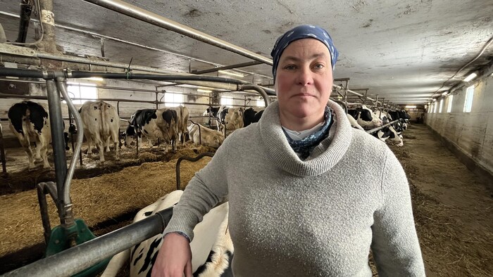 Guerre en Iran : les agriculteurs québécois subissent les contrecoups ...